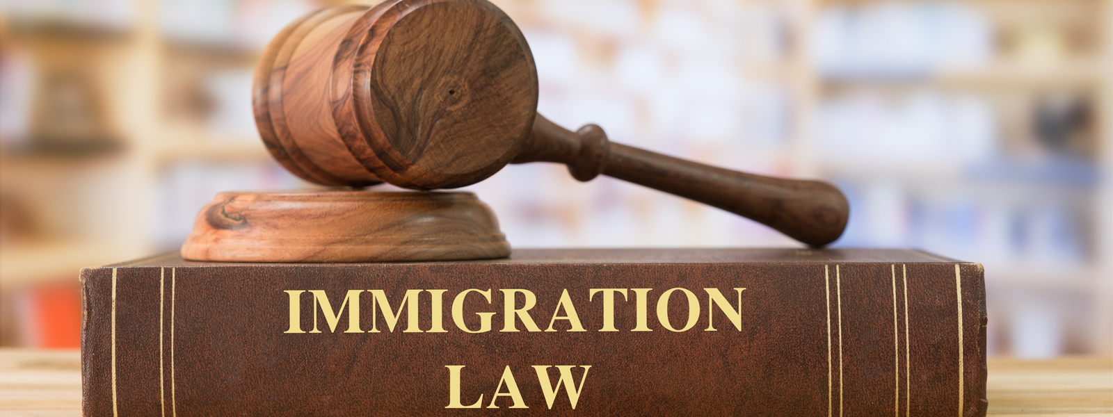 Immigration Law in Miami - MiamiBusiness.com